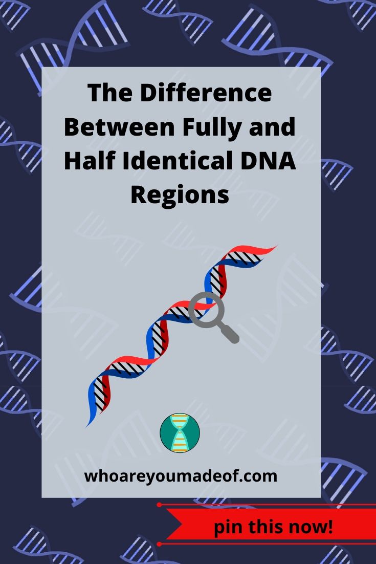 The Difference Between Fully and Half Identical DNA Regions - Who are ...