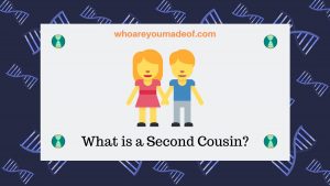 What is a Second Cousin? - Who are You Made Of?