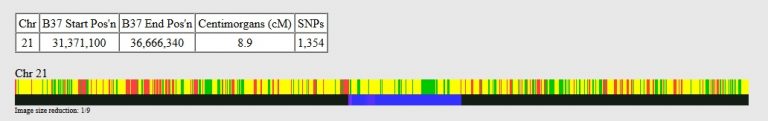 The Difference Between Fully and Half Identical DNA Regions - Who are ...