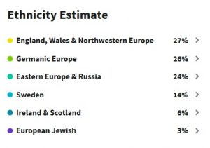 What Ancestry are Vikings? - Who are You Made Of?