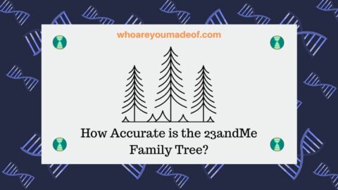 How Accurate is the 23andMe Family Tree? - Who are You Made Of?