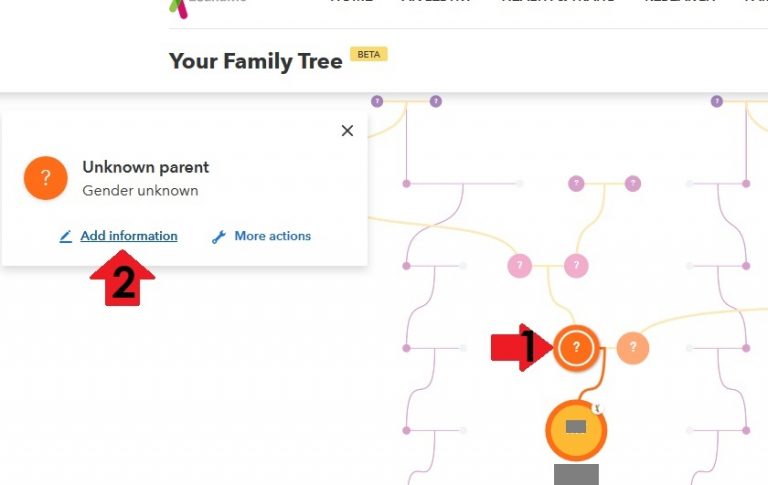 How Accurate is the 23andMe Family Tree? - Who are You Made Of?