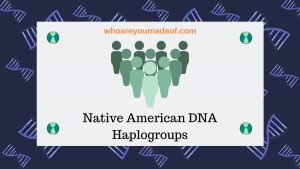 Native American DNA Haplogroups - Who are You Made Of?