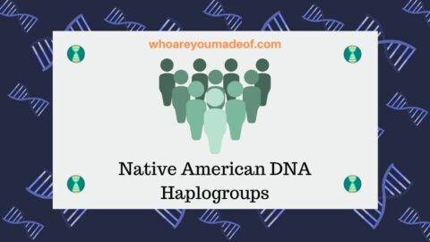 Native American DNA Haplogroups - Who are You Made Of?