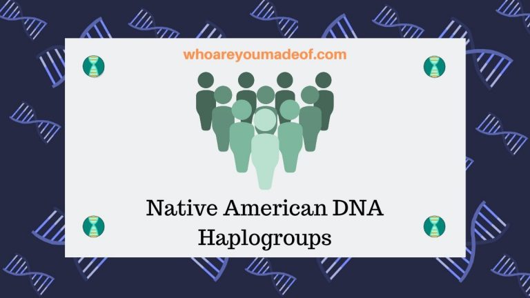 Native American DNA Haplogroups - Who are You Made Of?