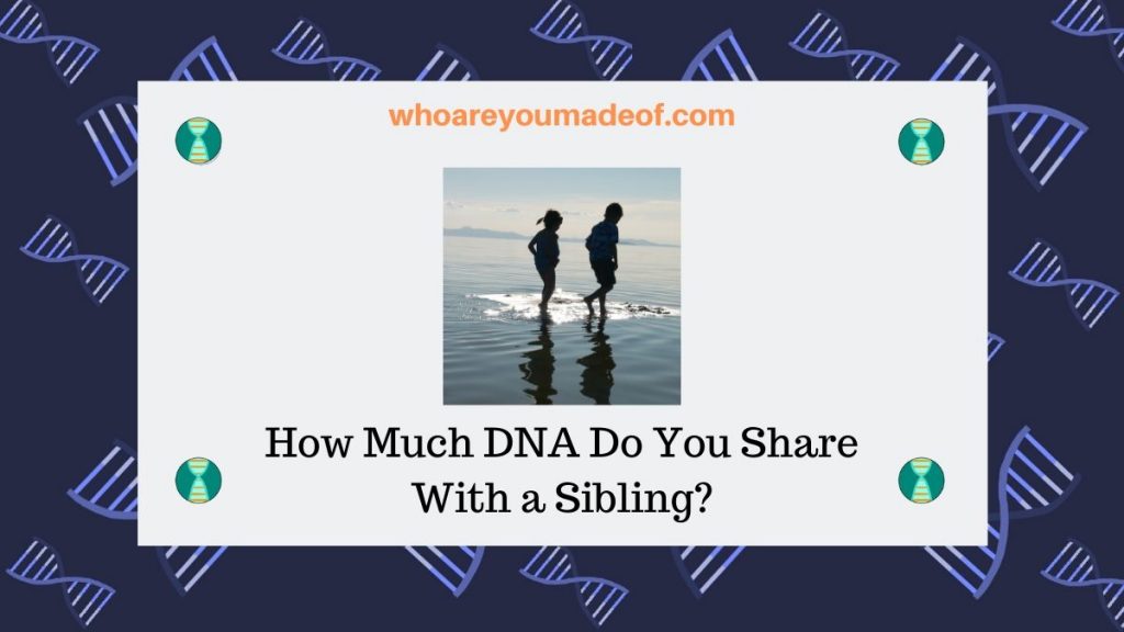 How Much DNA Do You Share With a Sibling? - Who are You Made Of?