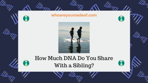 How Much DNA Do You Share With a Sibling? - Who are You Made Of?