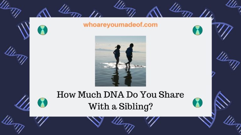 How Much DNA Do You Share With a Sibling? - Who are You Made Of?