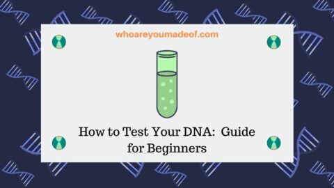 How to Test Your DNA: Guide for Beginners - Who are You Made Of?