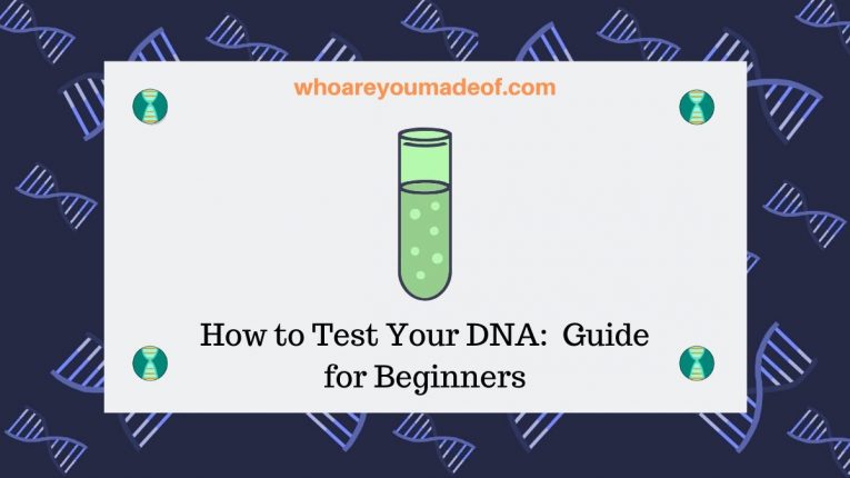How to Test Your DNA: Guide for Beginners - Who are You Made Of?