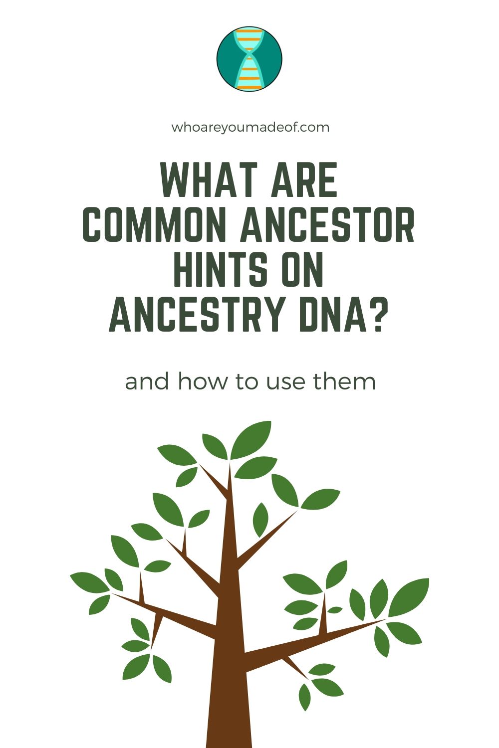What Are Common Ancestor Hints on Ancestry DNA? - Who are You Made Of?