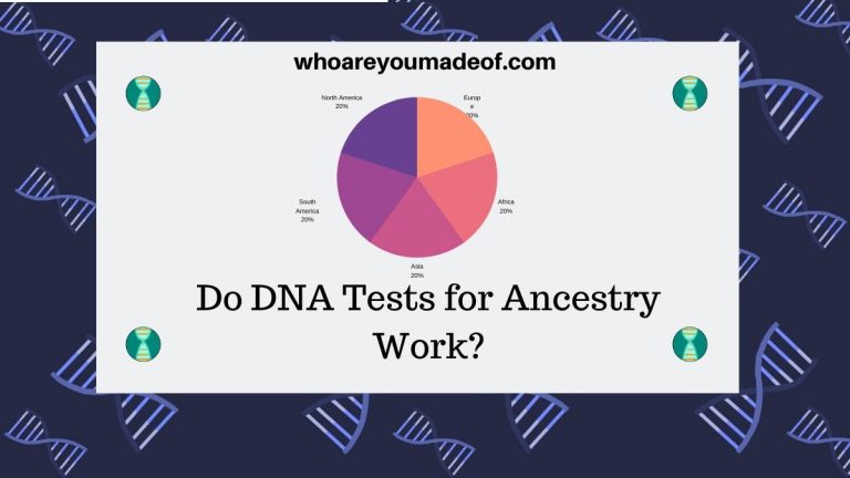 Do DNA Tests for Ancestry Work? - Who are You Made Of?