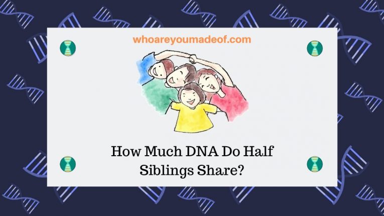 How Much DNA Do Half Siblings Share? - Who are You Made Of?