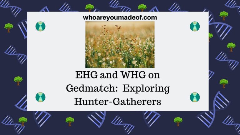 EHG and WHG DNA on Gedmatch: Exploring Hunter-Gatherers - Who are You ...