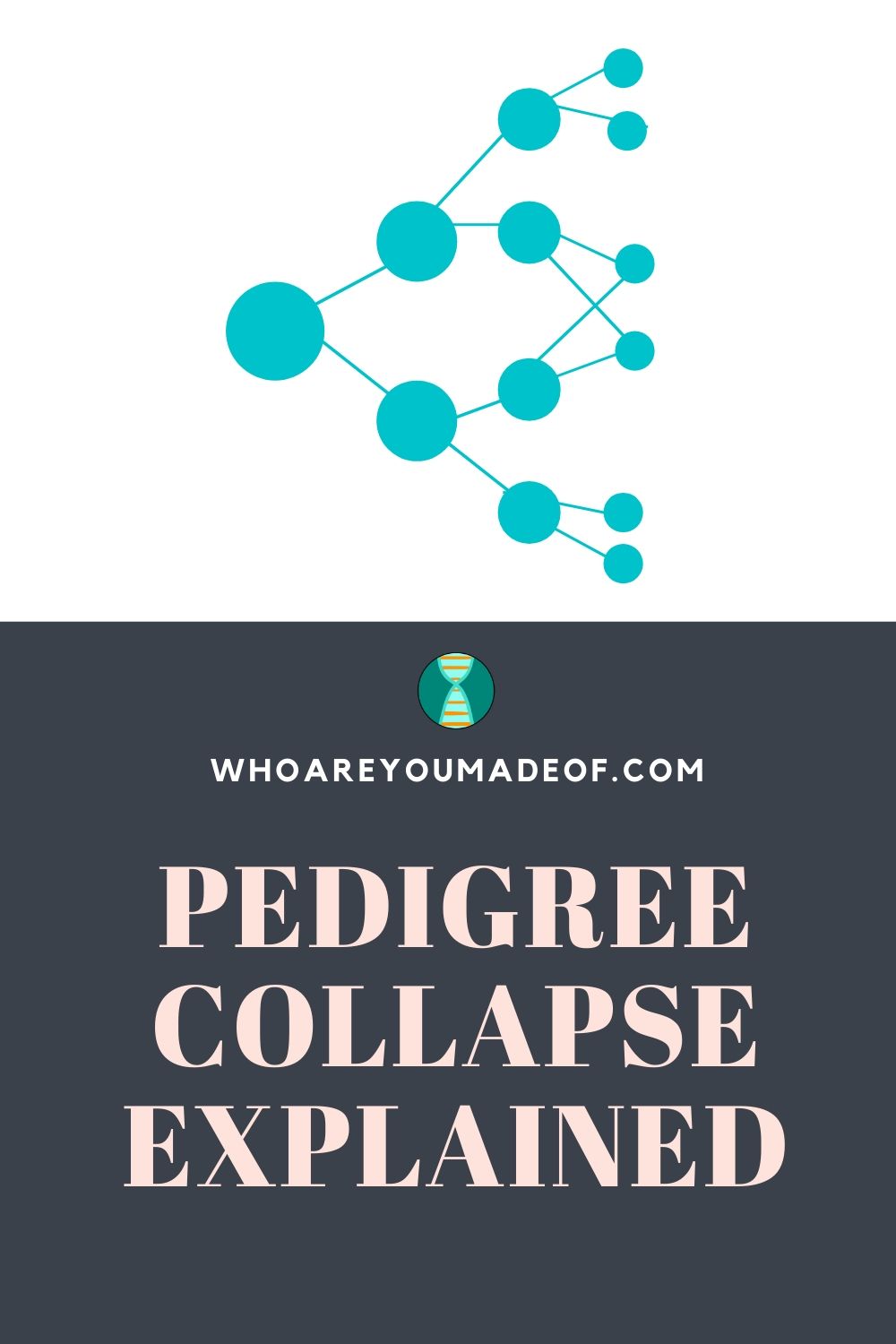 Pedigree Collapse Explained - Who are You Made Of?
