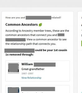 What Are Common Ancestor Hints on Ancestry DNA? - Who are You Made Of?