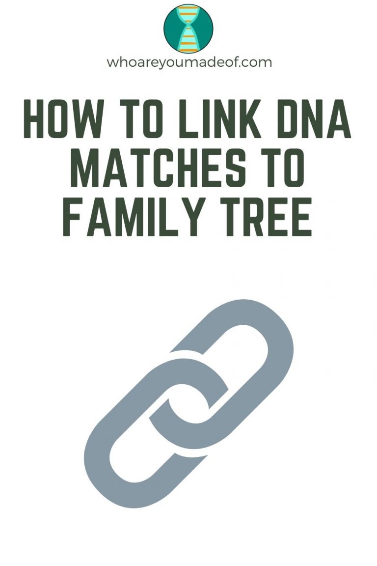 How to Link DNA Matches to Family Tree - Who are You Made Of?