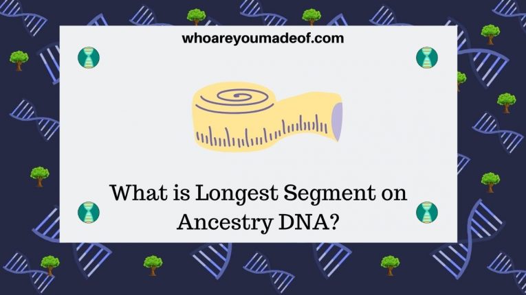 What is Longest Segment on Ancestry DNA? - Who are You Made Of?