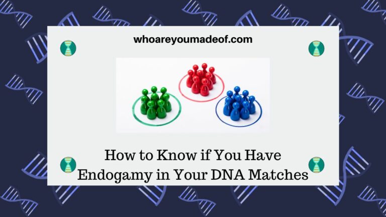How to Know if You Have Endogamy in Your DNA Matches - Who are You Made Of?