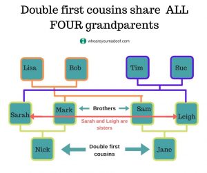 What is a Double First Cousin? - Who are You Made Of?
