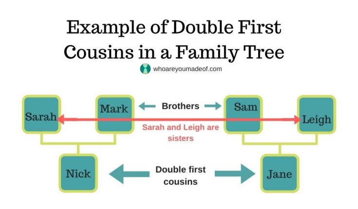What is a Double First Cousin? - Who are You Made Of?