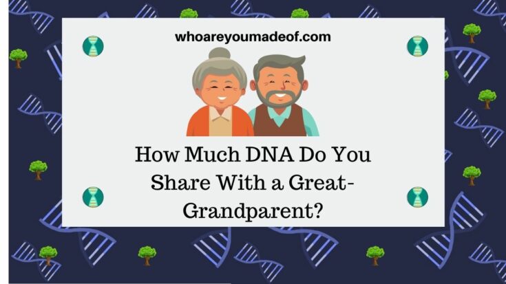 How Much DNA Do You Share With a Great-Grandparent? - Who are You Made Of?