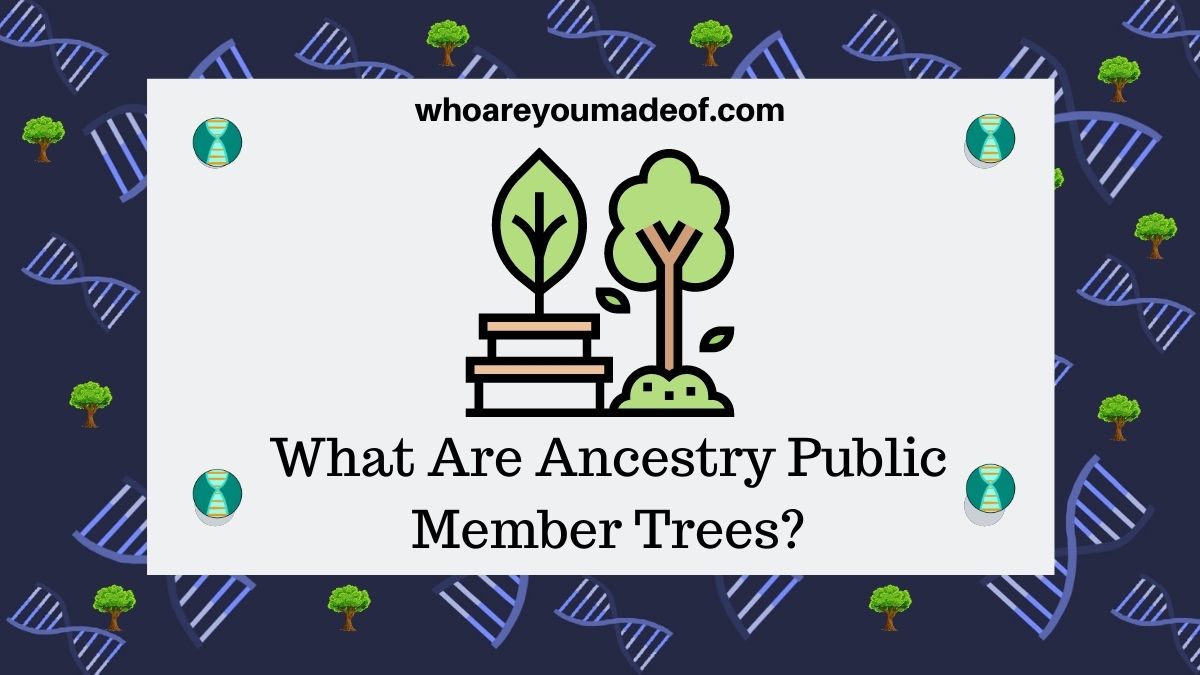 What Are Ancestry Public Member Trees? - Who are You Made Of?