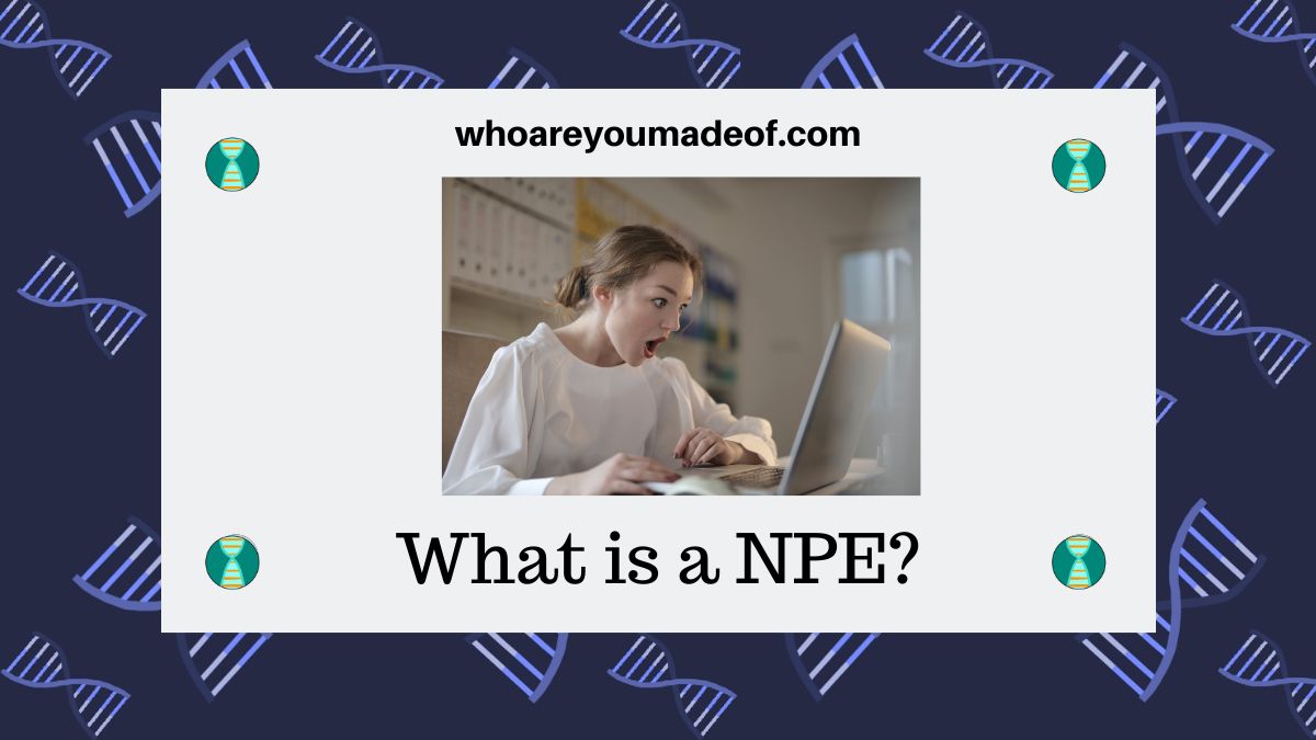 What is a NPE? - Who are You Made Of?