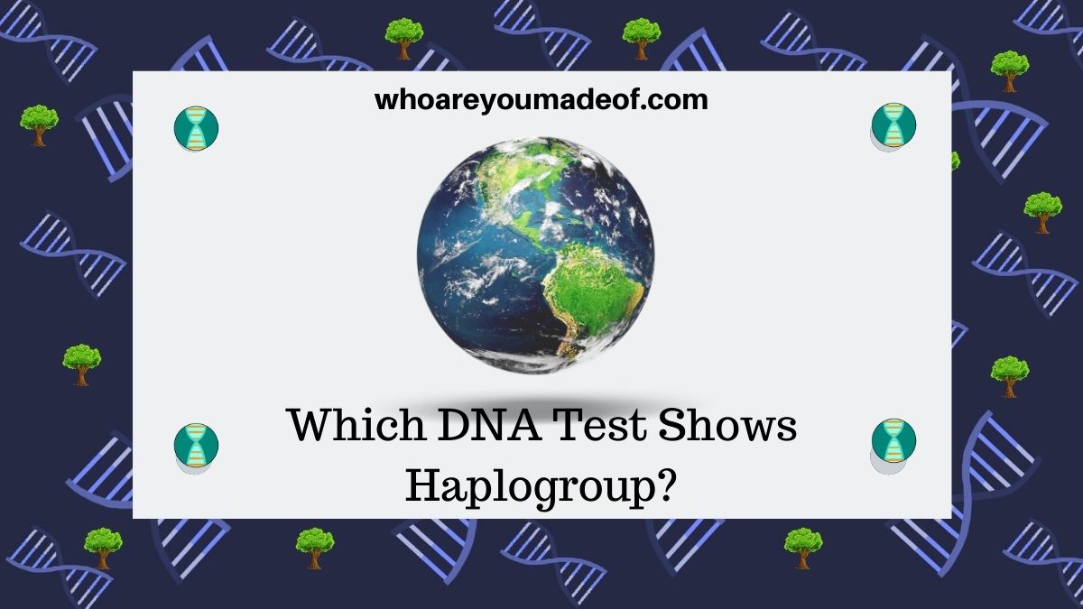 Which DNA Test Shows Haplogroup? - Who are You Made Of?