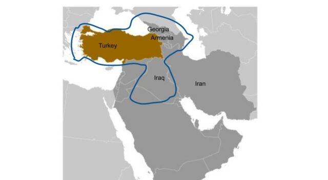 Turkey and the Caucasus DNA on Ancestry: Ethnicity Explained - Who are ...