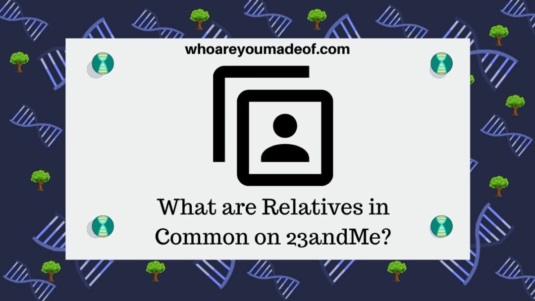 What are Relatives in Common on 23andMe? - Who are You Made Of?