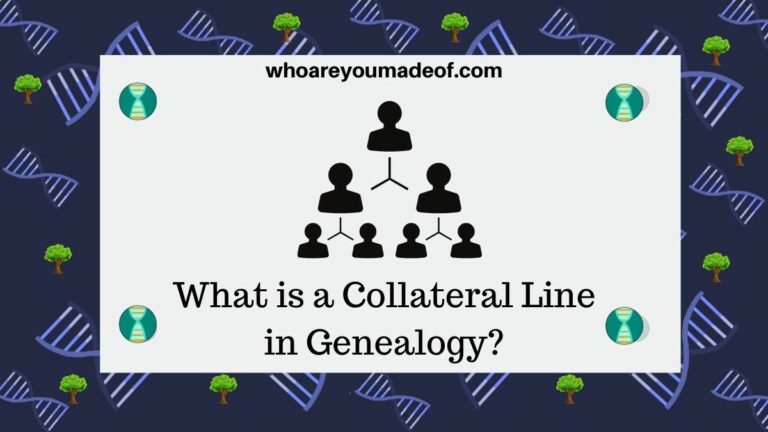 What is a Collateral Line in Genealogy? - Who are You Made Of?