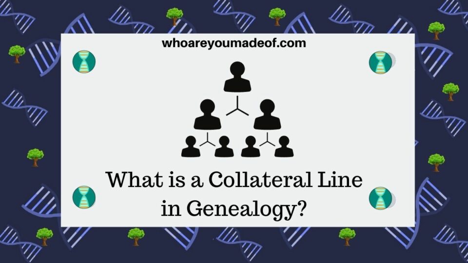 What is a Collateral Line in Genealogy? - Who are You Made Of?