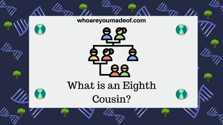 What is a Collateral Line in Genealogy? - Who are You Made Of?