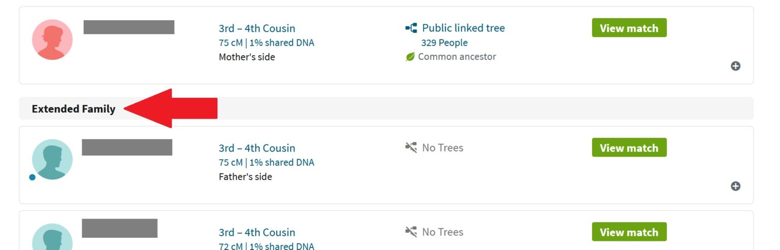 What Does Extended Family Mean On Ancestry DNA Matches Who Are You 