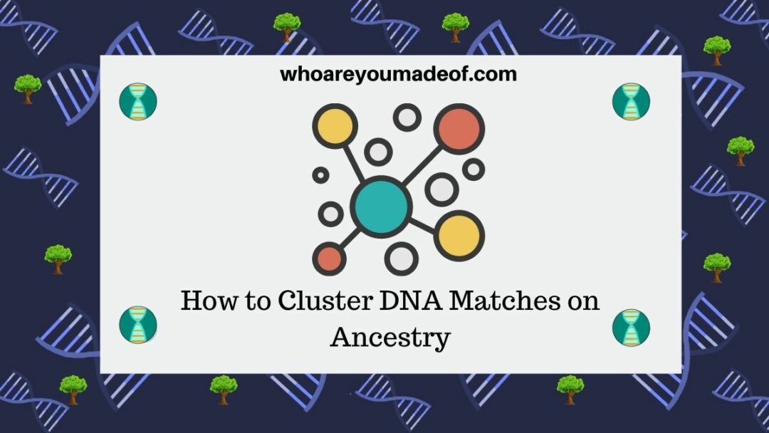 How to Cluster DNA Matches on Ancestry - Who are You Made Of?