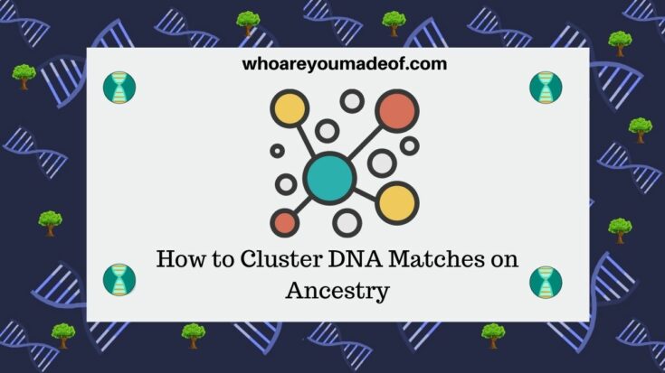 How to Cluster DNA Matches on Ancestry - Who are You Made Of?