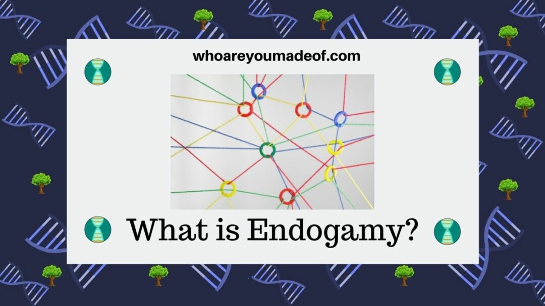 What is Endogamy? - Who are You Made Of?