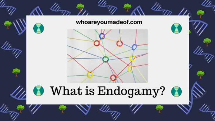 What is Endogamy? - Who are You Made Of?