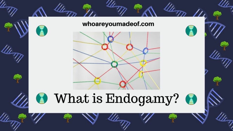 What is Endogamy? - Who are You Made Of?