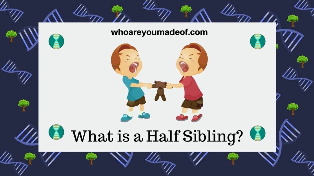 What Is A Half Sibling Who Are You Made Of 