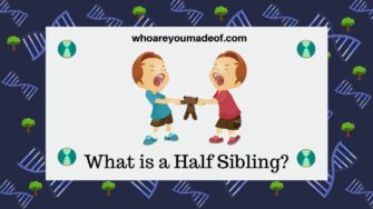 What is a Half Sibling? - Who are You Made Of?