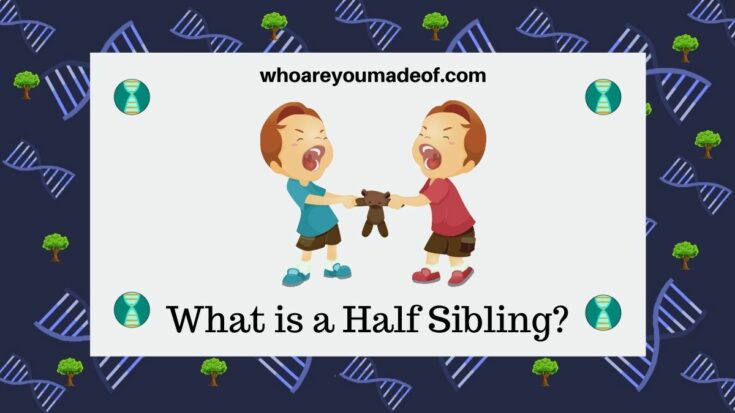 What is a Half Sibling? - Who are You Made Of?