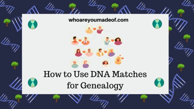 How to Use DNA Matches for Genealogy - Who are You Made Of?