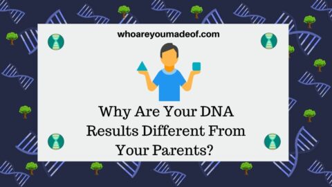 Why Are Your DNA Results Different From Your Parents? - Who are You ...