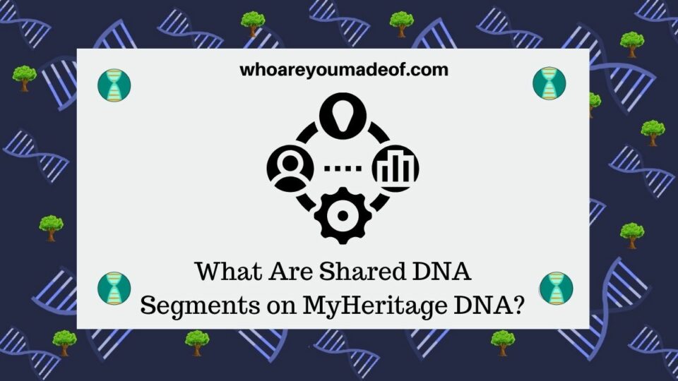 What Are Shared DNA Segments on MyHeritage DNA? - Who are You Made Of?