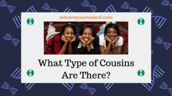 What Type of Cousins Are There? - Who are You Made Of?