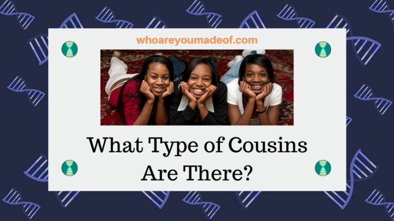 What Type of Cousins Are There? - Who are You Made Of?