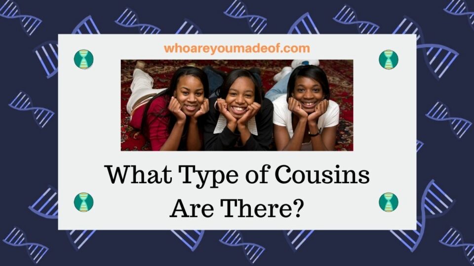 What Type of Cousins Are There? - Who are You Made Of?