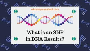 What is an SNP in DNA Results? - Who are You Made Of?